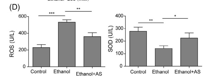 ROS活性氧（ROS）檢測分析 |Reactive Oxygen Species (ROS) Detection Assay Kit 貨號KTB1910