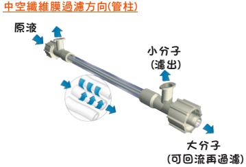 什麼是中空纖維膜（Hollow Fiber）？TFF切向流過濾簡易說明