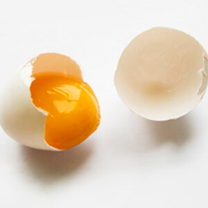 蛋黃IgY抗體純化 | IgY EggsPress Purification Kit-Gallus Immunotech貨號IK 500