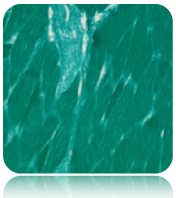 Fast Green Solution 染劑 |染色膠原蛋白和網狀纖維-貨號FGN125