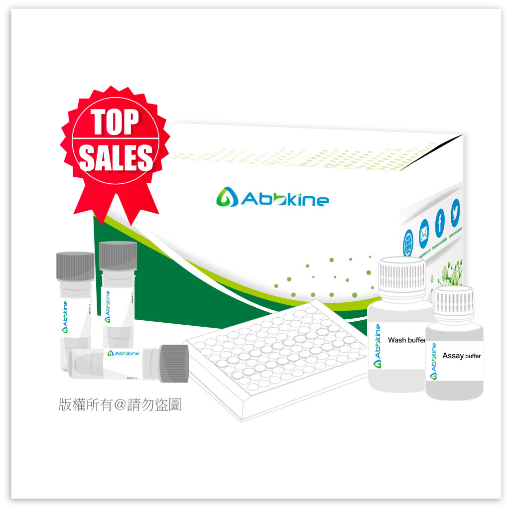 白介素-6（Interleukin-6, IL-6）ELISA試劑盒 | EliKine™ Mouse IL-6 ELISA Kit貨號KTE7009