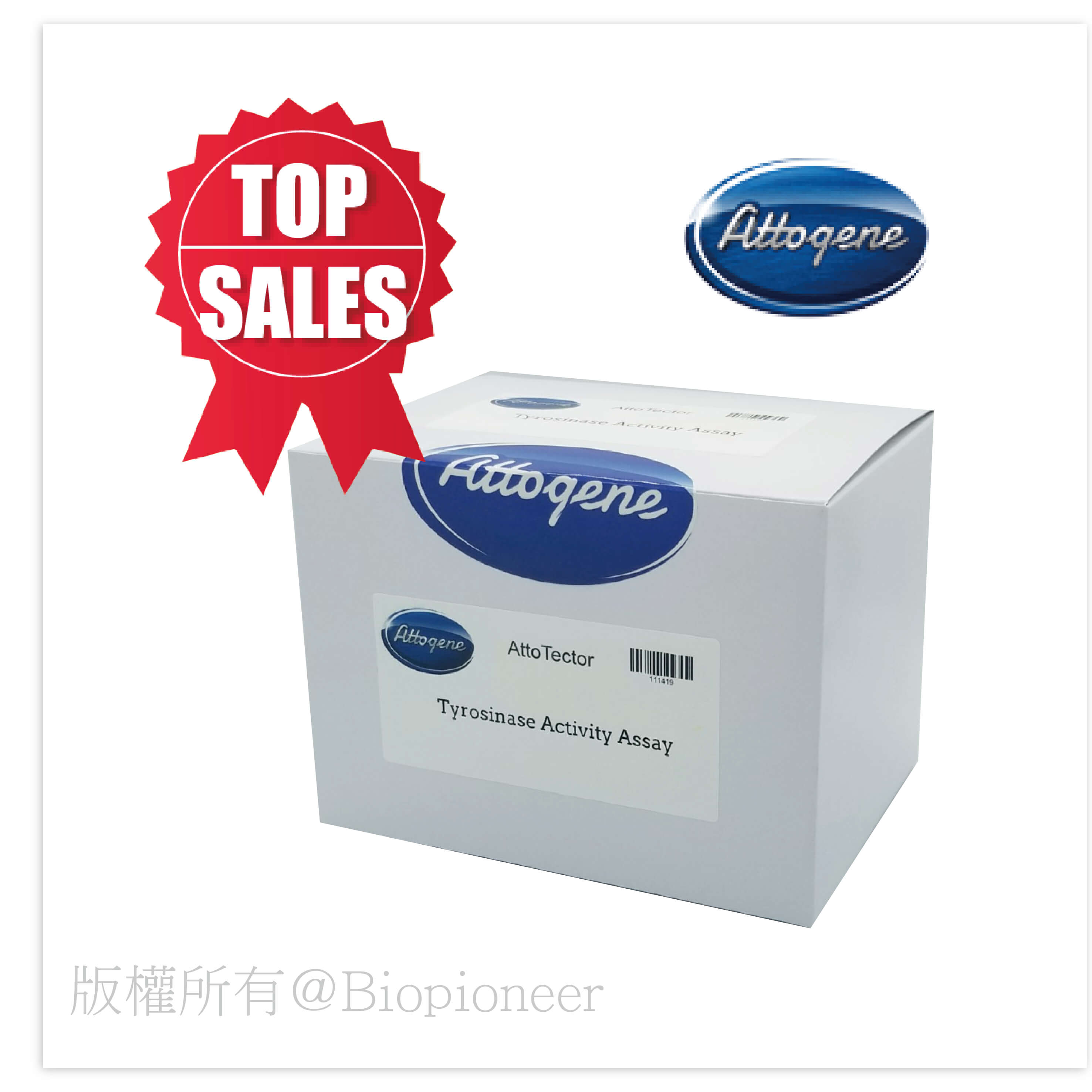 酪氨酸酶(Tyrosinase)活性測定試劑盒 | Tyrosinase Activity Assay Kit ATTOGENE貨號 ...