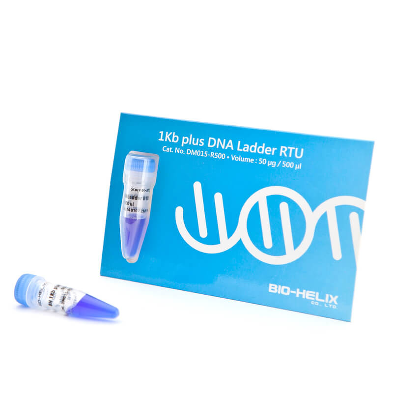 100bp-10Kb DNA Ladder 分子量標準液 | Bio-Helix貨號DM013-R500