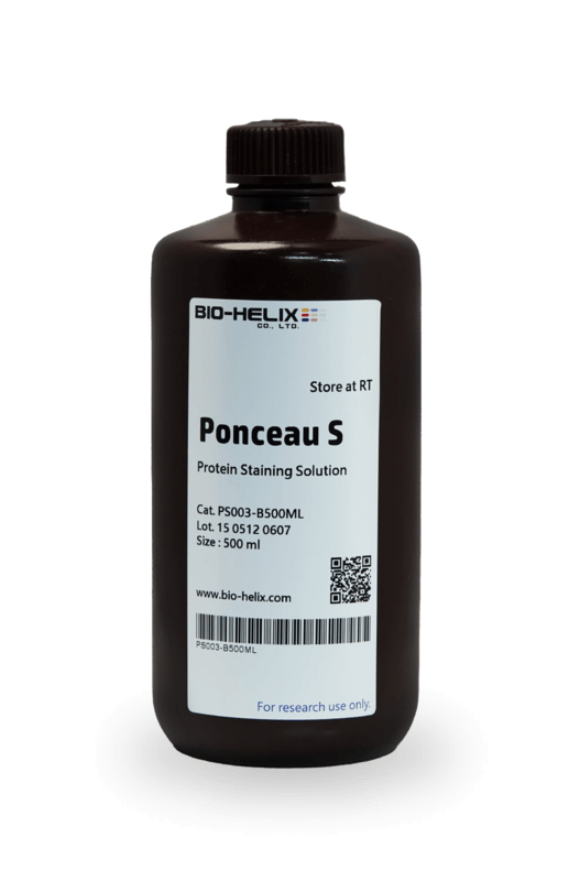 Ponceau S Protein Staining Solution | Bio-Helix 貨號PS003-B500ML