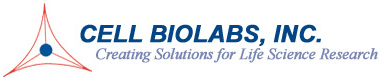 【細胞收縮分析/Cell Contraction Assays)】Two-Step Attached Model 貨號CBA-201-Cell ...