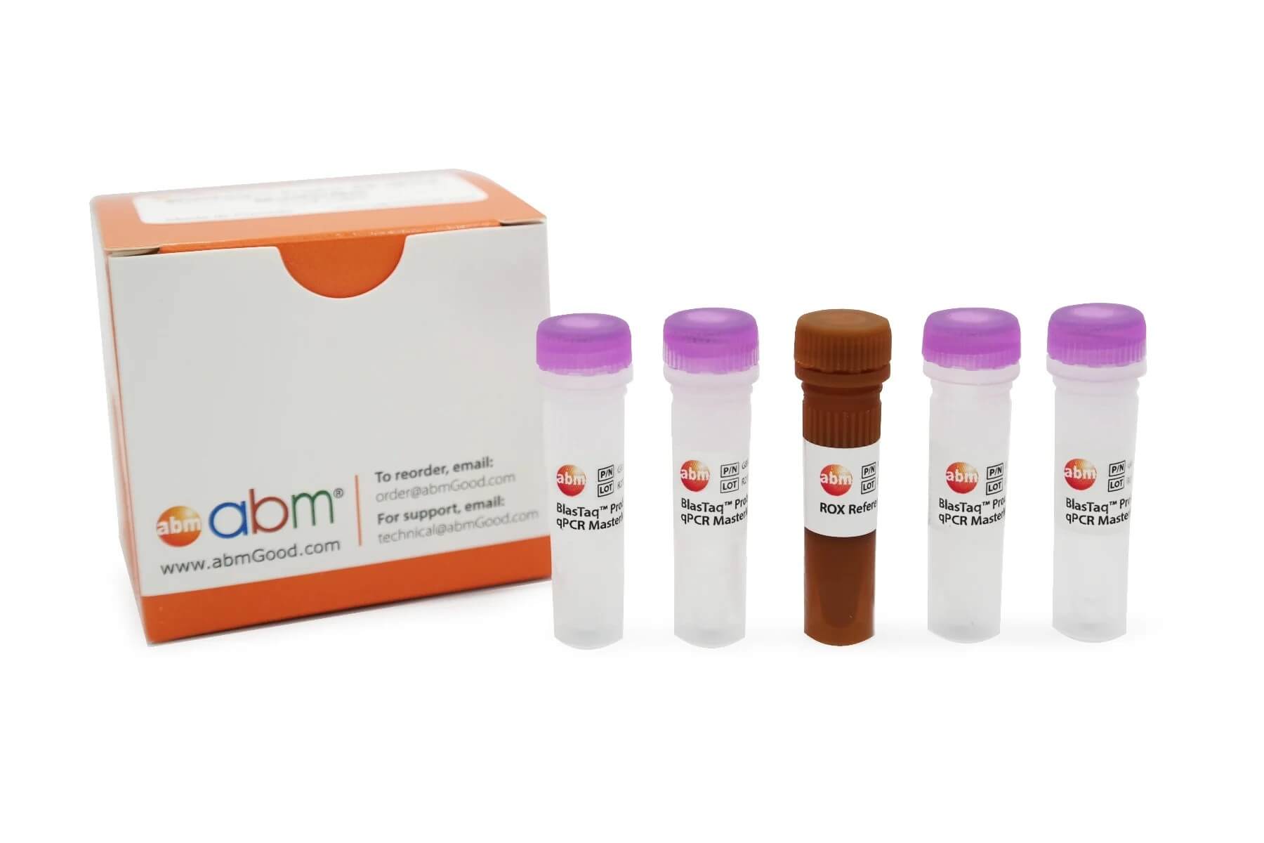 BlasTaq™ 2X qPCR混合液 | ABMGOOD貨號G891