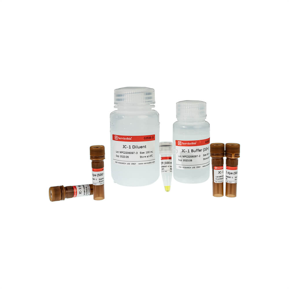 JC-1 粒線體膜電位檢測試劑盒(JC-1 Mitochondrial Membrane Potential Assay Kit ...