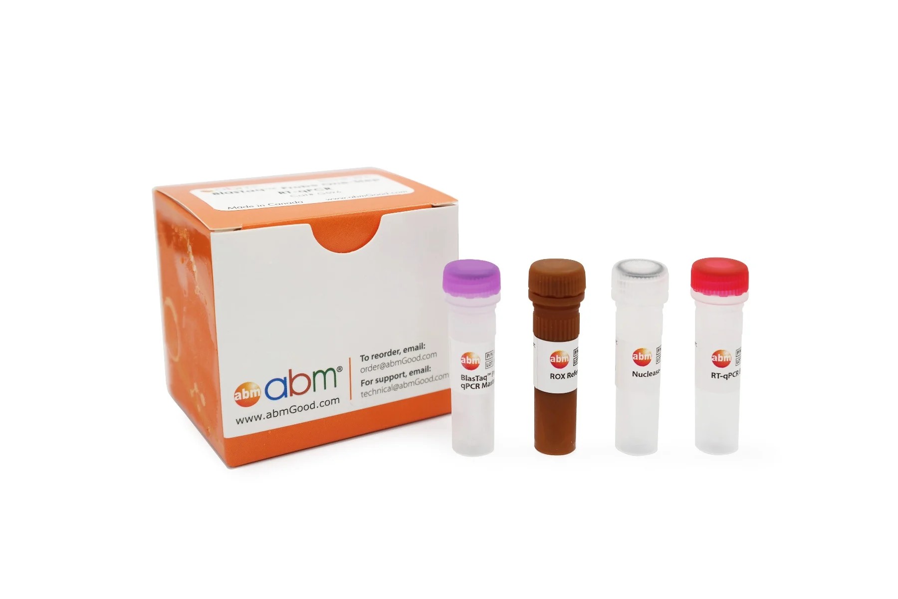 BlasTaq™ 2X qPCR混合液 | ABMGOOD貨號G891